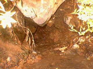 Lamel Springs, Mt Baden-Powell - Angeles National Forest