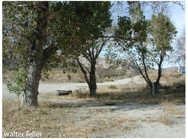 Explore the History of Cosy Dell in Cajon Pass - A Forgotten California ...