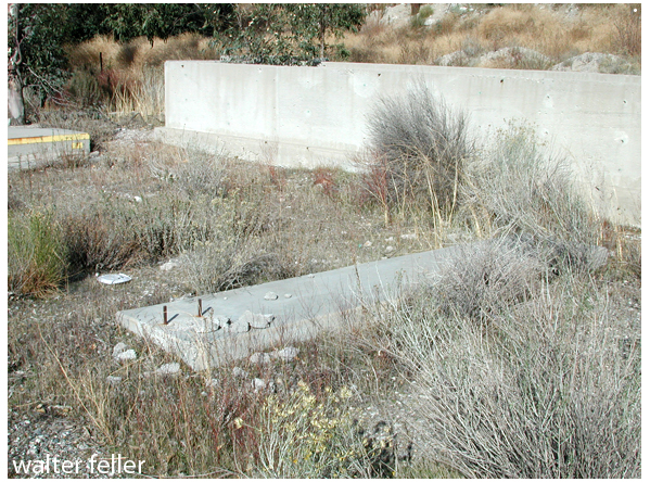 Explore the History of Cosy Dell in Cajon Pass - A Forgotten California ...