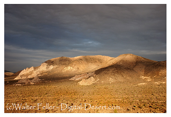Ryan Mountain, Joshua Tree