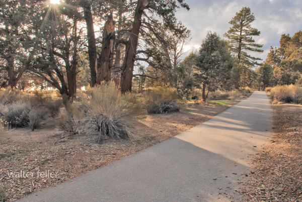 Alpine Pedal Path: Big Bear Adventures